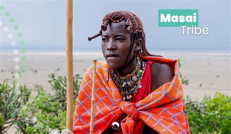 The Masai Tribe: Learn about their Culture and Lifestyle | Howlanders Blog