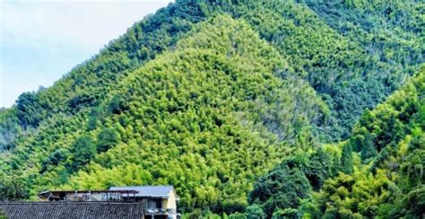 迄今为止！最喜欢的江浙沪小县城出现了！腾讯新闻