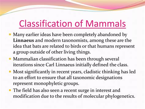 Classification Of Mammals Pdf