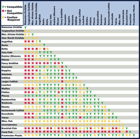 Freshwater Fish Compatibility Chart