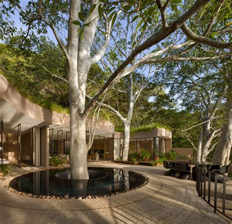 Cylindrical Voids Accommodate Trees At Mexican House By Mcxa Group