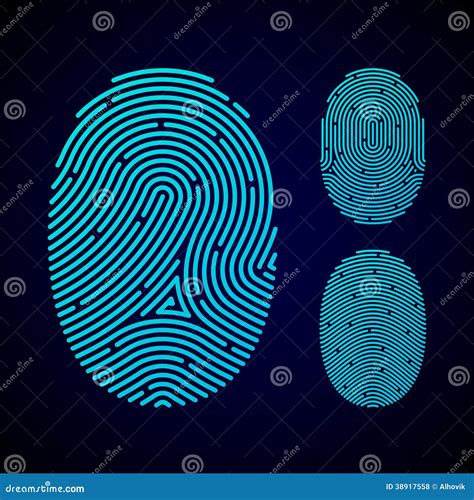 Types Of Fingerprint Patterns Stock Vector Image 38917558