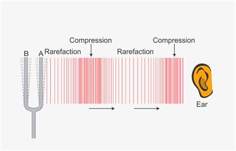 Sound The Vibration That Propagates As An By Stuid Learning App