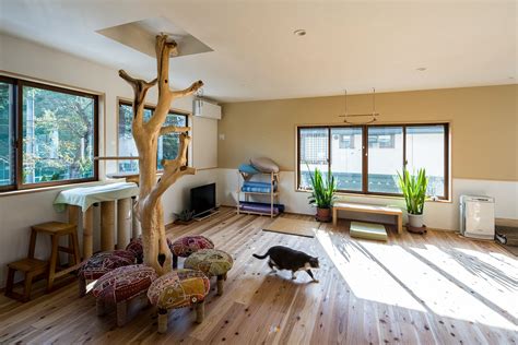 東京都西東京市 猫ちゃんとのびのび暮らす木の家 駿河屋自然素材天然素材を使った注文住宅リノベーションリフォーム健康住宅