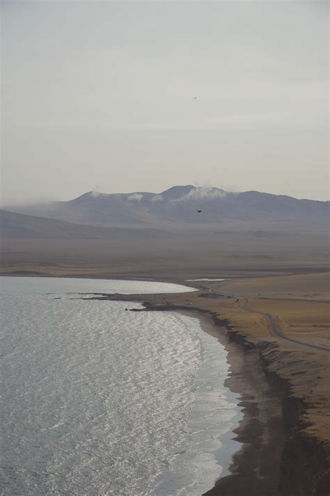 The Best Way To Visit The Paracas National Reserve Twenty Five Days A