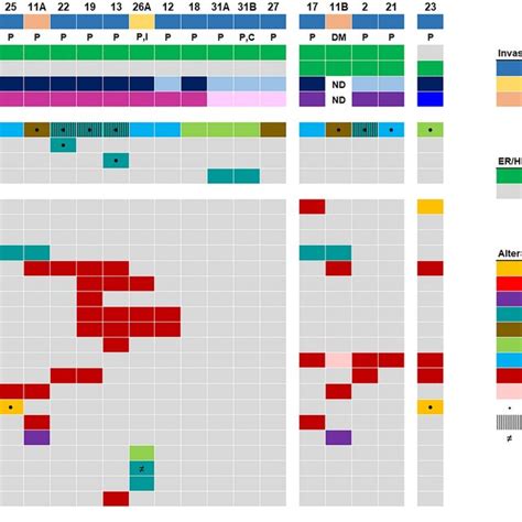 Genetic Profiling Of Invasive Breast Cancers Arising In Patients With
