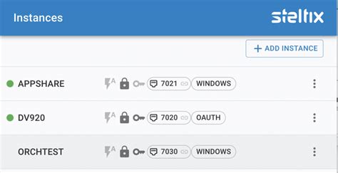 Instances Documentation At Steltix