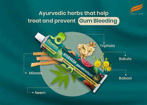 Understanding Bleeding Gums Himalaya Wellness India