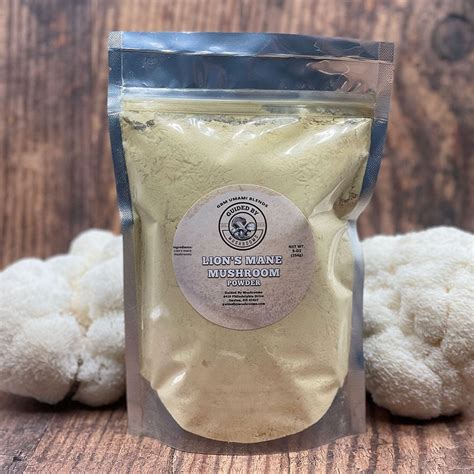 Lions Mane Powder Bulk Guided By Mushrooms