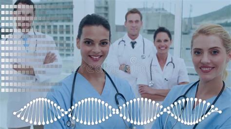 Animation Of Dna Strand Spinning Over Diverse Doctors Stock Video Video Of Doctor Male