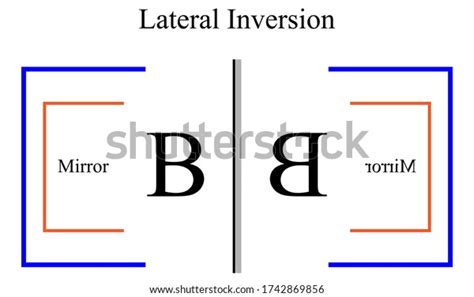2 Lateral Inversion Plane Mirror Stock Vectors And Vector Art Shutterstock