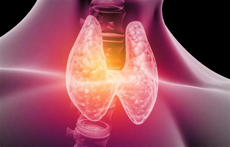 Know Your Thyroid The Meaning Of High And Low Thyroid Stimulating Hormone 1drop