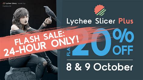 Last 24 Hours Save 20 Off Slicer Plus Before Its Gone — Lychee