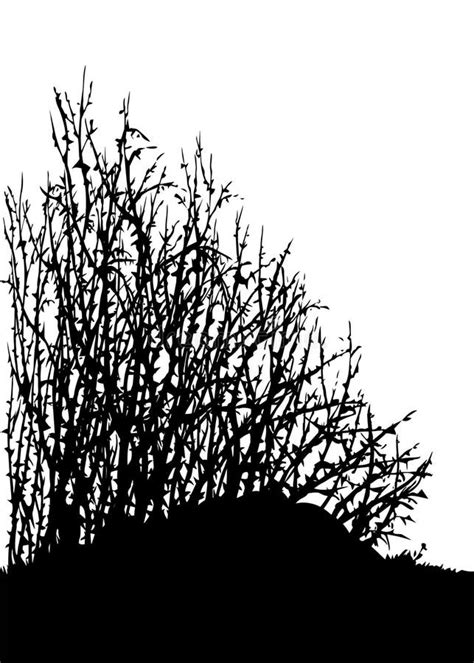 Vector Drawing The Thorn Bushes Stock Vector Illustration Of Flower
