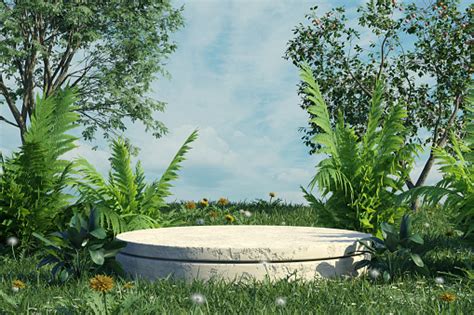 제품 프레젠테이션과 흐린 배경3d 렌더링을 위한 열대 우림의 콘크리트 연단 0명에 대한 스톡 사진 및 기타 이미지 0명 건설 플랫폼 광고 Istock