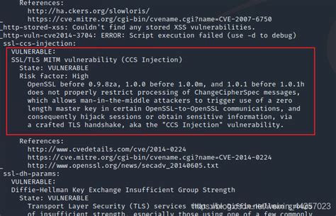 Kali 工具 Nmap篇kali Nmap Csdn博客