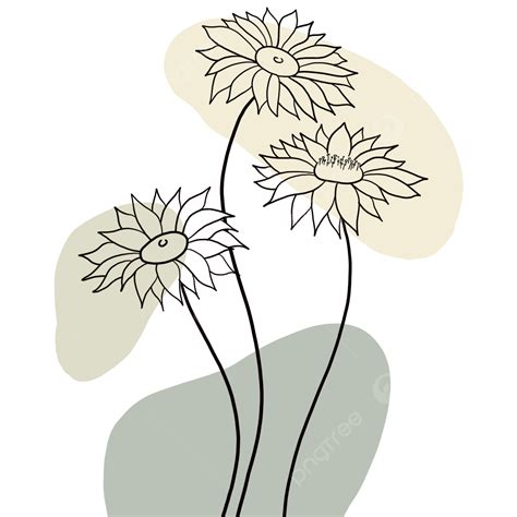 식물 일러스트 추상 라인 아트 미학 식물 라인 아트 꽃들 Png 일러스트 및 Psd 이미지 무료 다운로드 Pngtree