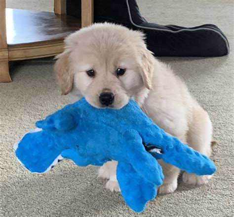 Steve Ardalis Smith Ardalis Twitter