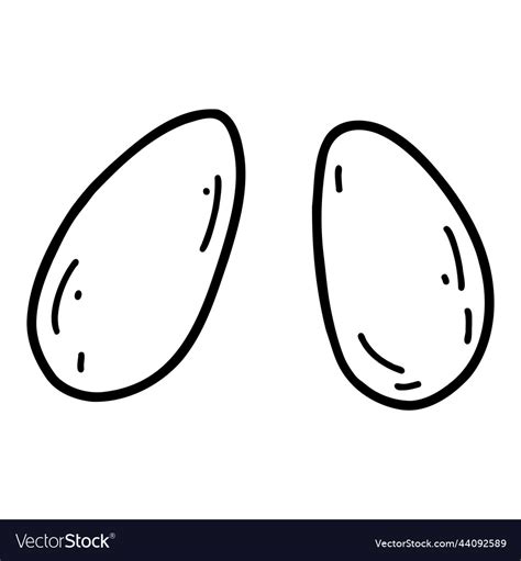 Doodle Whole Chicken Eggs Outline Sketch Of Fresh Vector Image