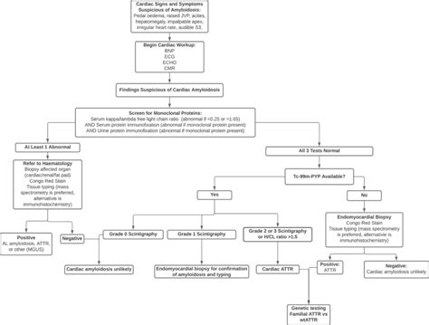 Algorithm For The Investigation Of Suspected Cardiac Amyloidosis The