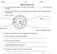 Bill Nye Earths Crust Video Worksheet By Mayberry In Montana Tpt