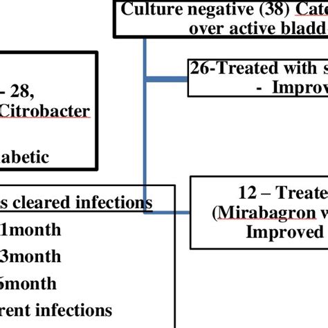 Investigation Of The Cases Based On Urine Routine Download Scientific Diagram