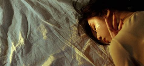 Блохи как выглядят откуда берутся чем опасны как избавиться