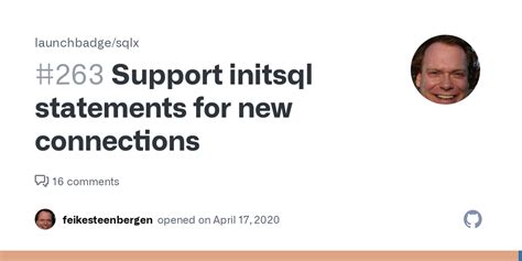 Support Initsql Statements For New Connections Issue 263