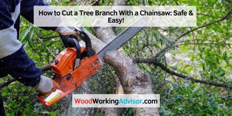 How To Cut A Tree Branch With A Chainsaw Safe And Easy