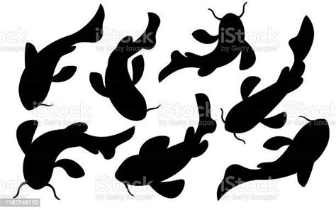 행운의 번영 빨강과 검정 점선 잉어 잉어 만화 플랫 벡터 일러스트 레이션 흰색 배경에 고립 된 잉어 잉어 일본 상징의 블랙