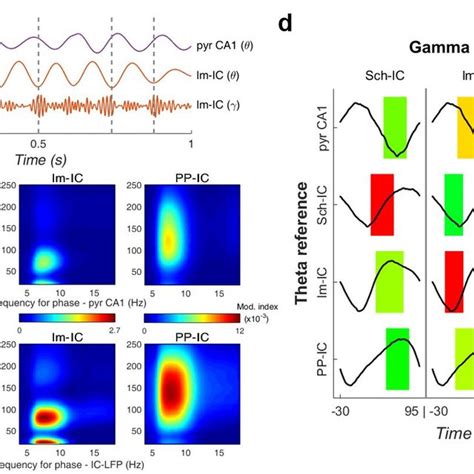Synchronization Between Layer Specific Theta Oscillations A