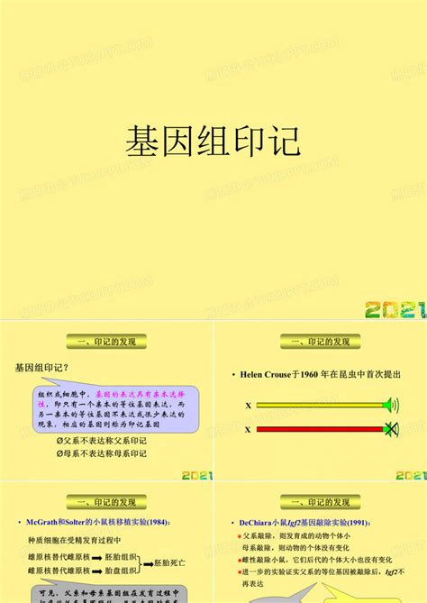 基因组印记优品文档ppt模板下载 编号lrxjpzbb 熊猫办公