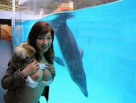 Foto De Fish Flashing