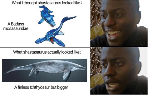Me After First Seeing Dino Mecard Shastasaurus Vs Discovering What Shastasaurus Actually Looked