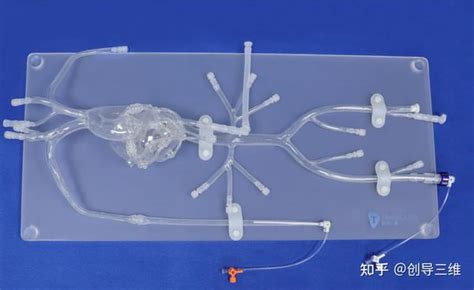 冠脉介入血管模型 创导三维研发定制 可用于冠脉介入手术训练及器械研发 高仿真模拟人体结构 知乎