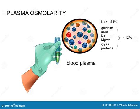 Plasma Osmolarity Composition Stock Vector Illustration Of Osmolarity Erythrocytes 157344384