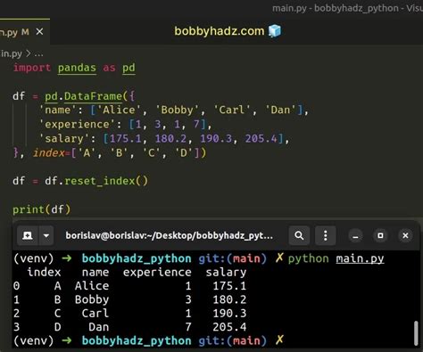 Pandas Dataframeresetindex Not Working Solved Bobbyhadz