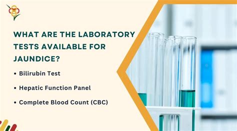 Cbc Normal Laboratory Values