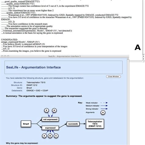 Initial Prototype Graphical User Interfaces A The First Prototype Download Scientific