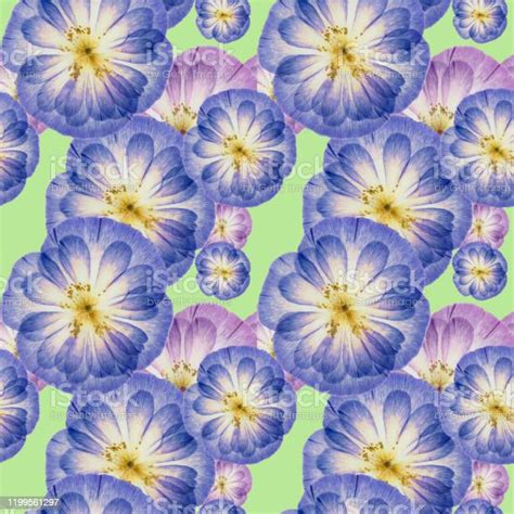 양 귀 비 일러스트 꽃의 질감 연속 복제를 위한 원활한 패턴 꽃 배경 섬유 면 직물의 생산을위한 사진 콜라주 벽지에 사용하기 위해 커버 0명에 대한 스톡 사진 및 기타
