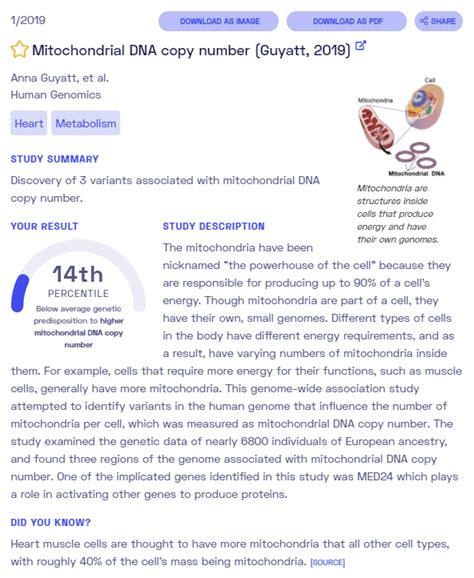 Is Mitochondrial Dna Copy Number Genetic Decode Your Dna