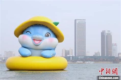 巨型江豚气模亮相江西南昌 打造城市新地标 中新网江西新闻