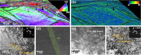 Deformation Microstructures Close To The Fracture Tip At 500 • C A