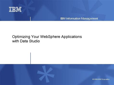 IBM Information Management Integrated Data Management Vision And