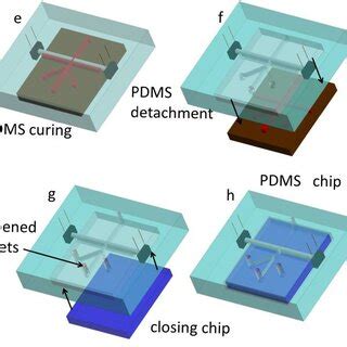 Scheme Of Fabrication Steps Download Scientific Diagram