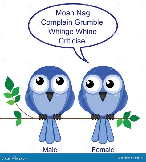 Sex Of Birds Stock Vector Illustration Of Determine 18615943