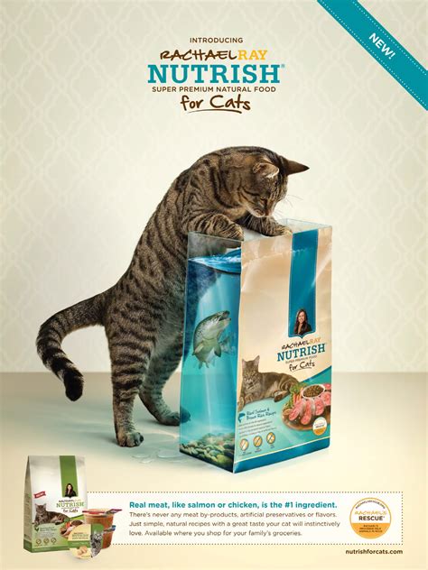 Pin By Ibtehal Mohammed On Quick Saves In 2025 Cats Wet Cat Food