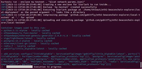 Execution In Progress Hangs For 10 Minutes And Then Error Encountered Running Starlark Code