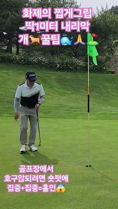 화제의 찝게그립 ⛳️😱🙏🐳👌 골프 골프존 스크린골프 nx 골프존cc 필드 필드골프 필드레슨 웨지 퍼터 아이언비거리 골프레슨 숏