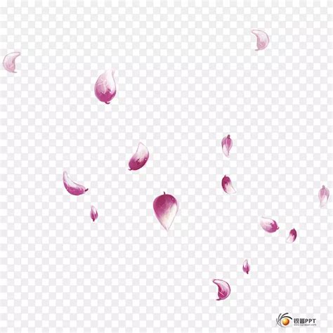 png图片图像桌面壁纸绘图摄影PNG图片素材下载 图片编号6642917 PNG素材网